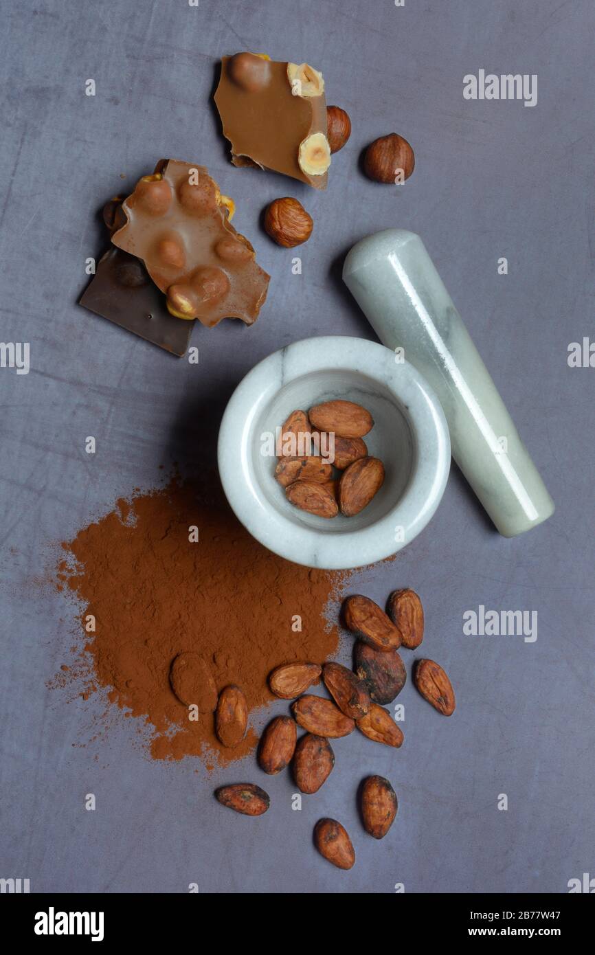 Cocoa beans in grated shell, chocolate, hazelnuts, cocoa beans and ...