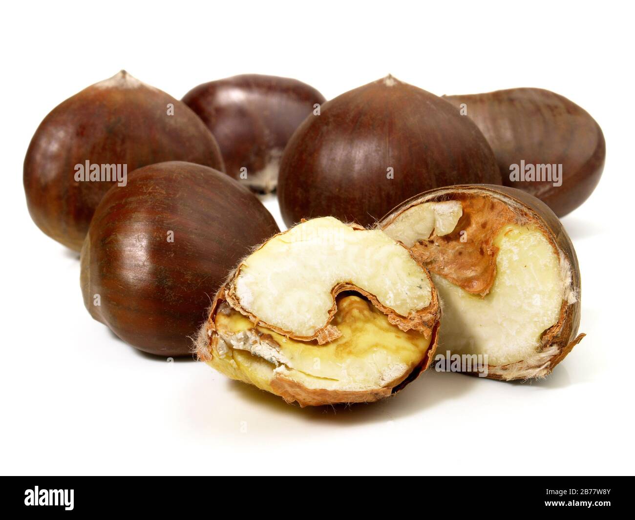 Fresh unpeeled Chestnuts on white Background Stock Photo - Alamy