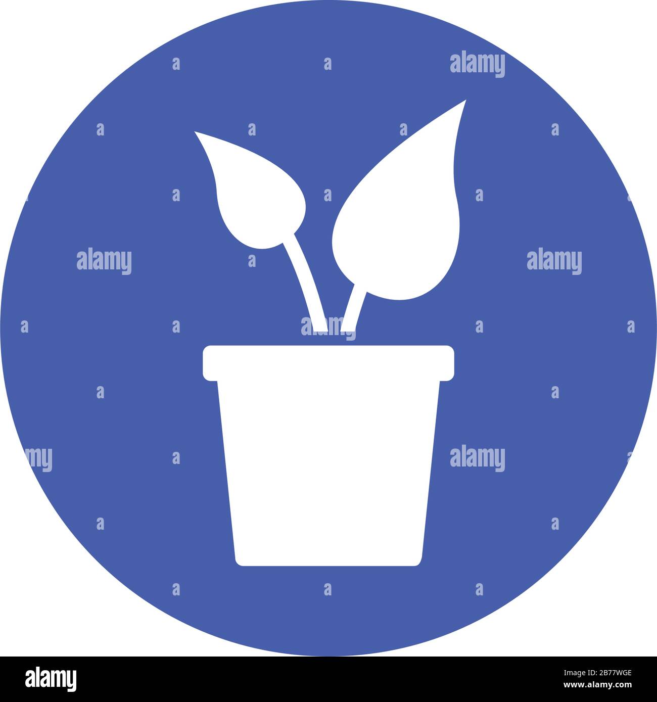 house plant cultivating block style Stock Vector Image & Art - Alamy
