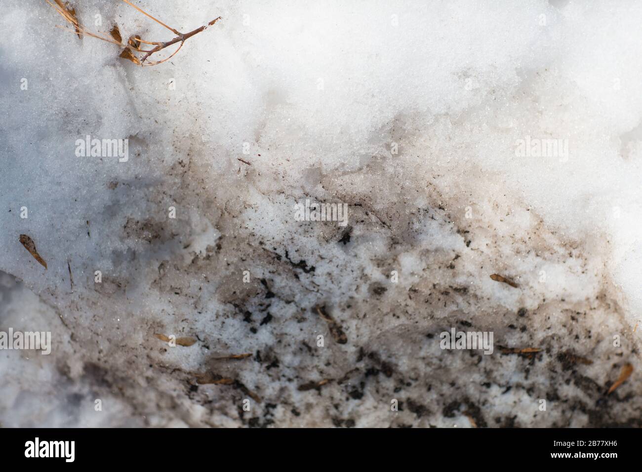 Spring snowdrift with dirty melted snow Stock Photo - Alamy