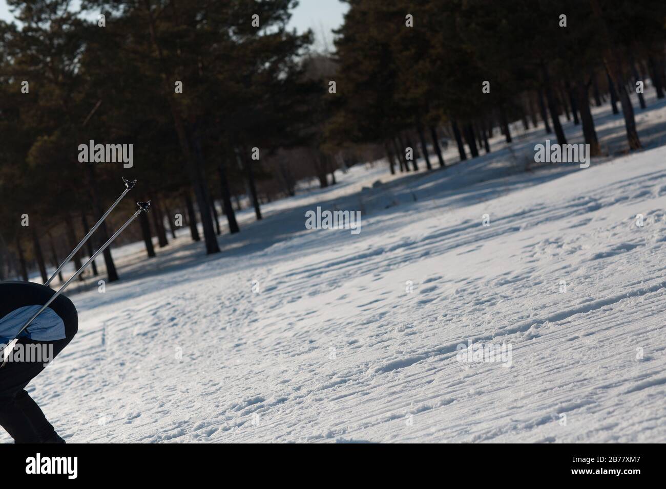 Skier rides on the skiing track on ski Stock Photo - Alamy