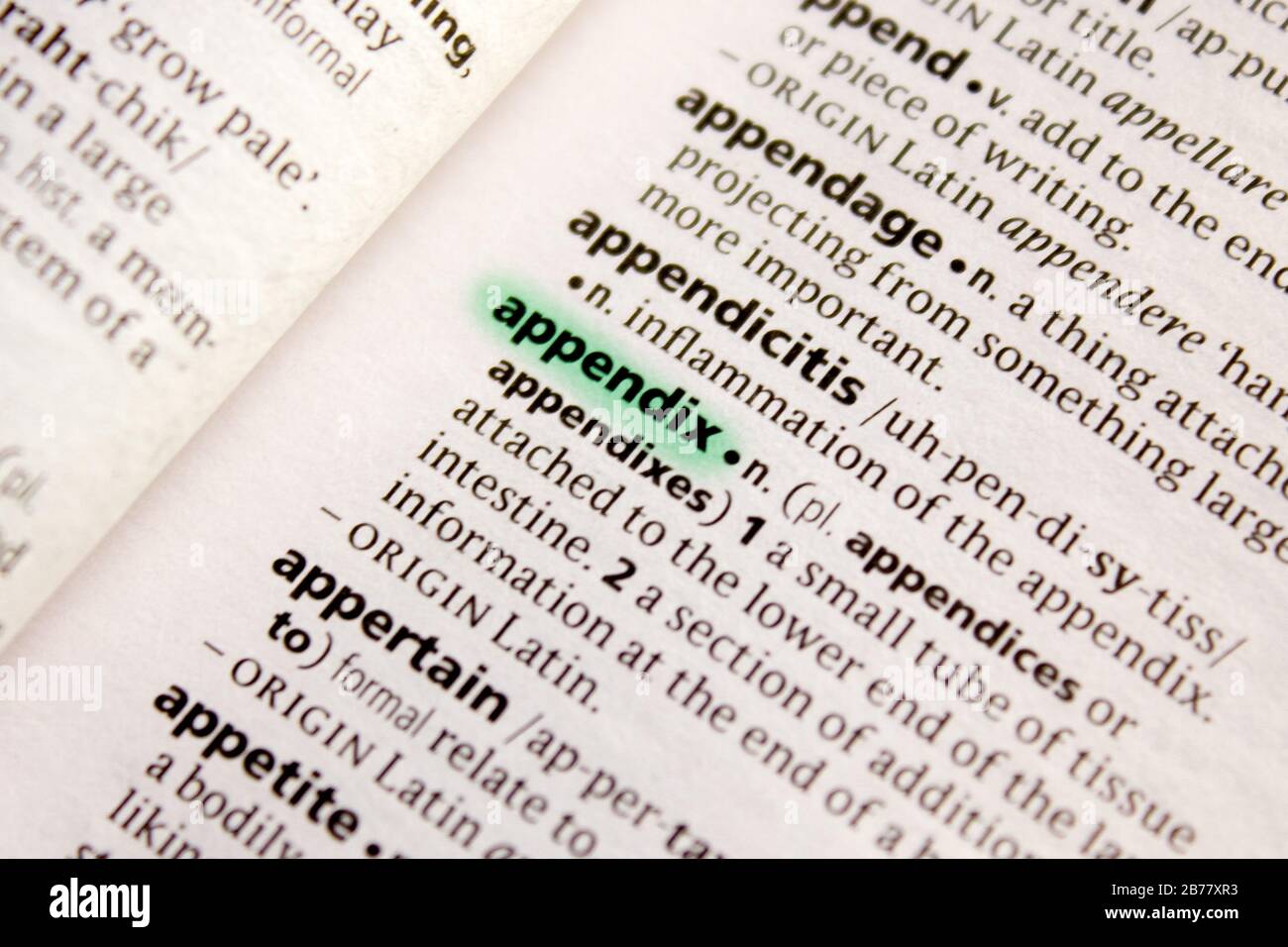 Appendix word or phrase in a dictionary Stock Photo - Alamy