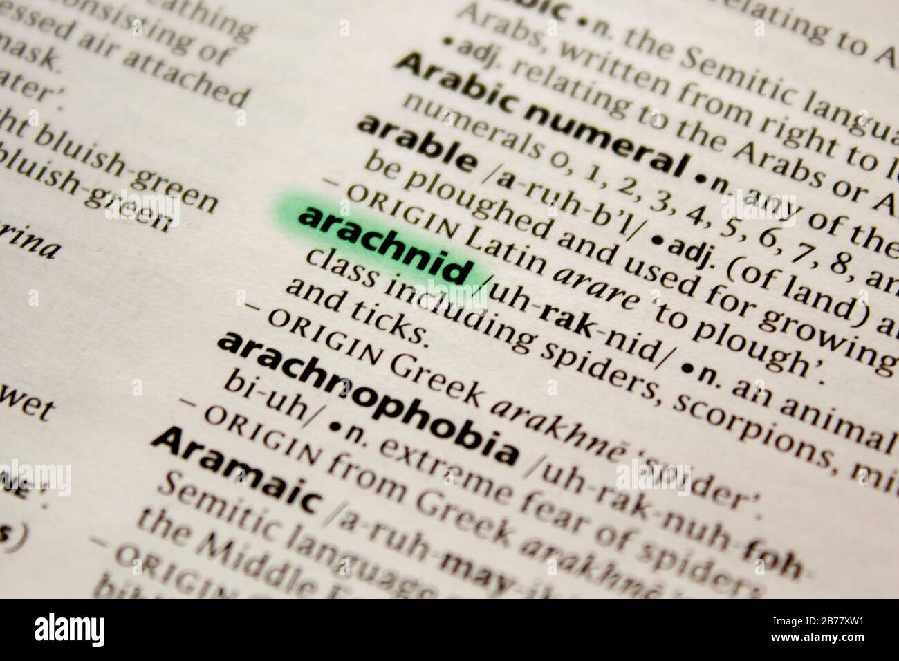Arachnid word or phrase in a dictionary Stock Photo - Alamy