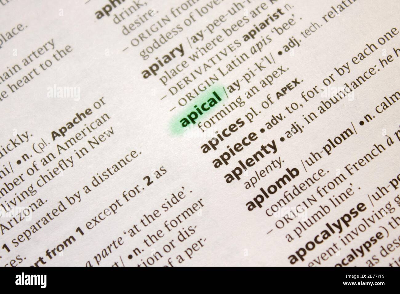 Apical word or phrase in a dictionary Stock Photo - Alamy