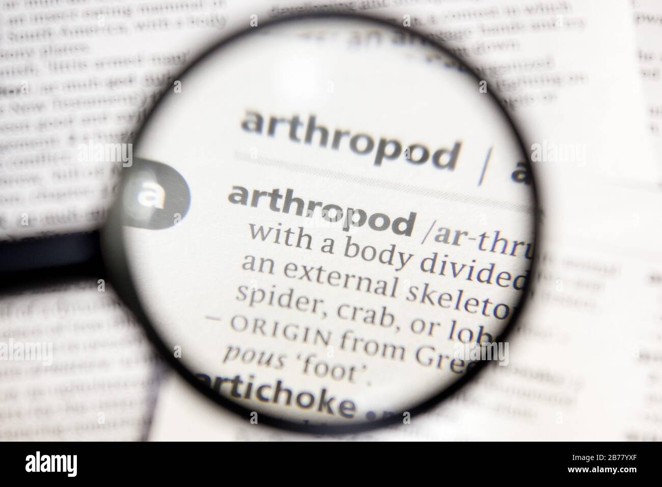 Arthropod paper hi-res stock photography and images - Alamy