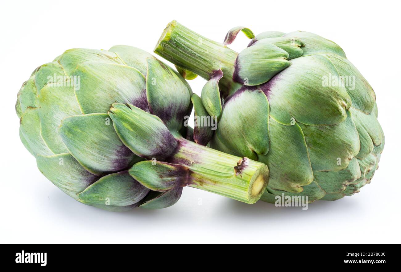 Artichoke flower edible buds isolated on white background Stock Photo ...