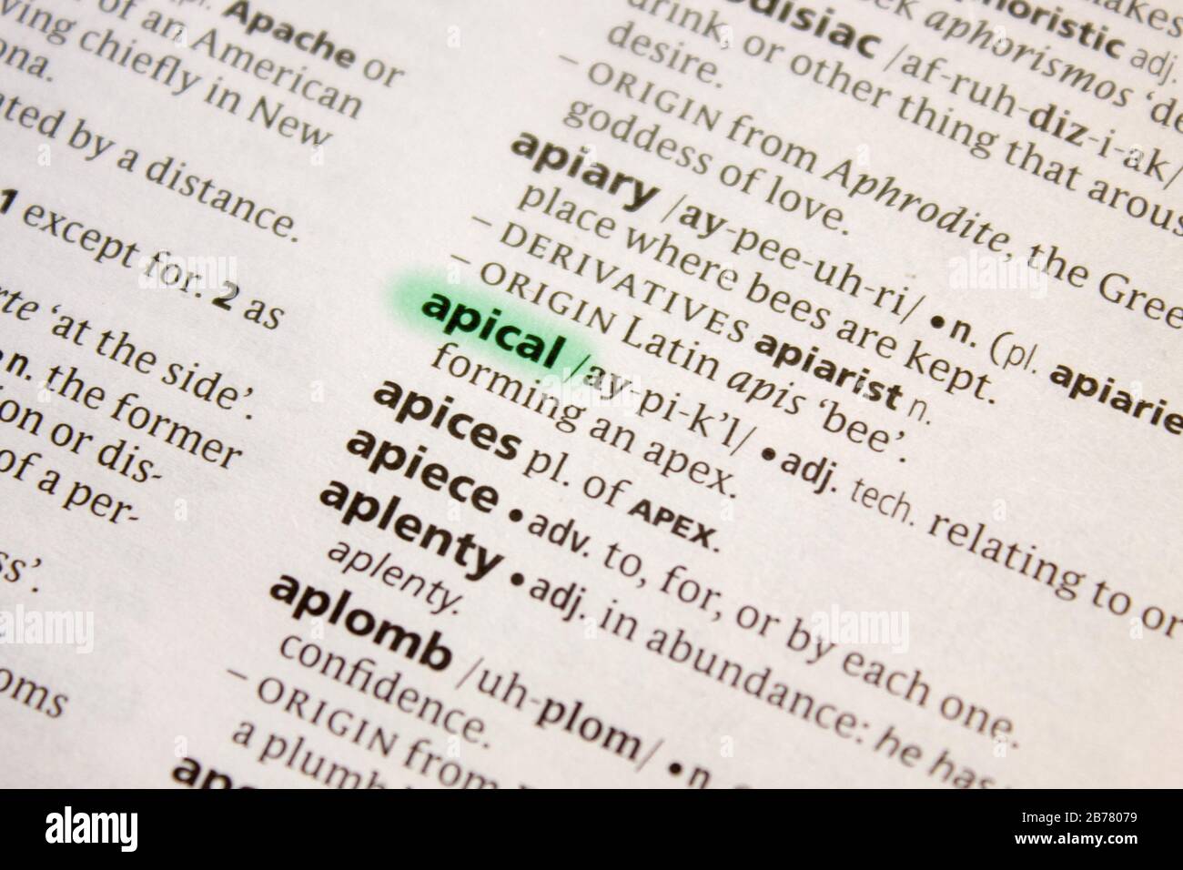 Apical word or phrase in a dictionary Stock Photo - Alamy