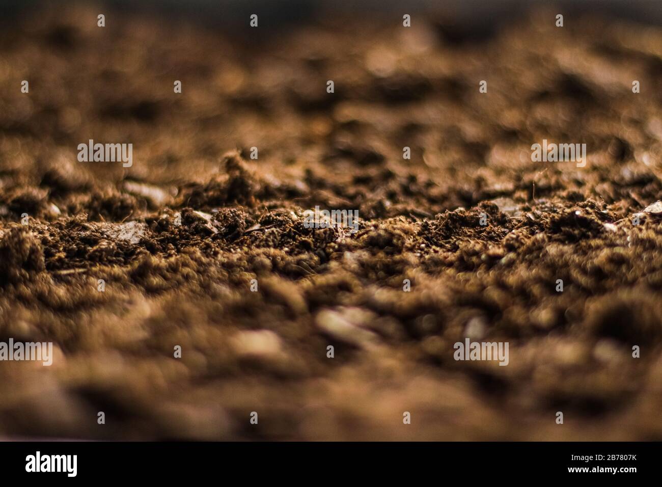 Earth ground texture as background, nature and environmental backdrop ...