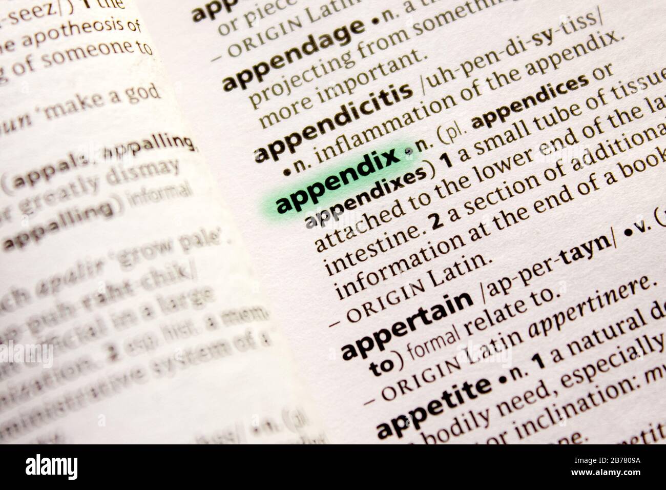 Appendix word or phrase in a dictionary Stock Photo - Alamy