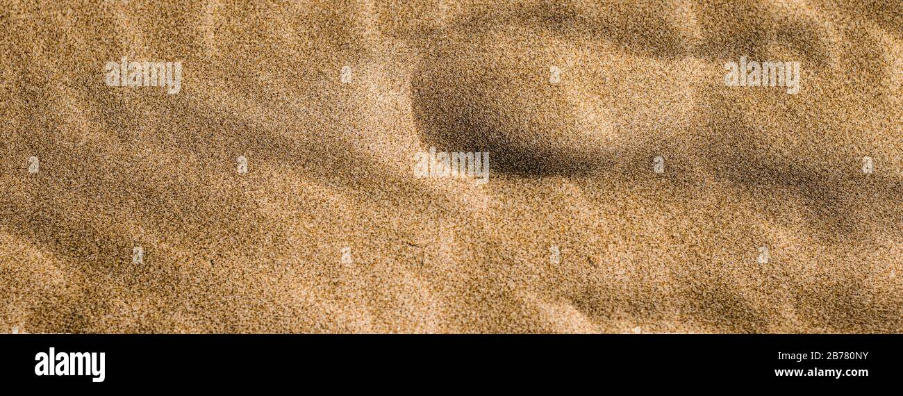 Sand on the beach in summer, texture close-up as background Stock Photo ...