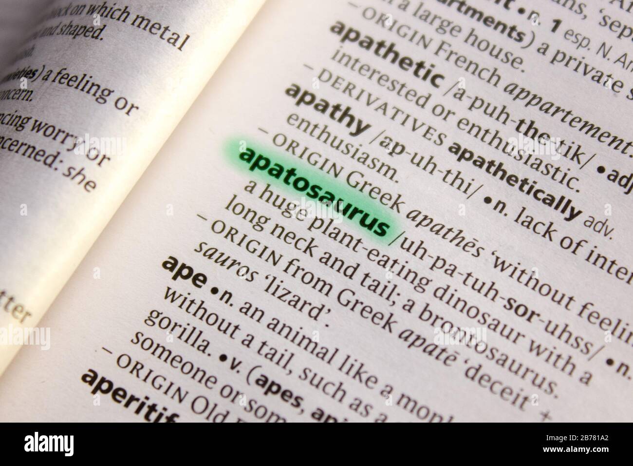 Apatosaurus word or phrase in a dictionary Stock Photo - Alamy