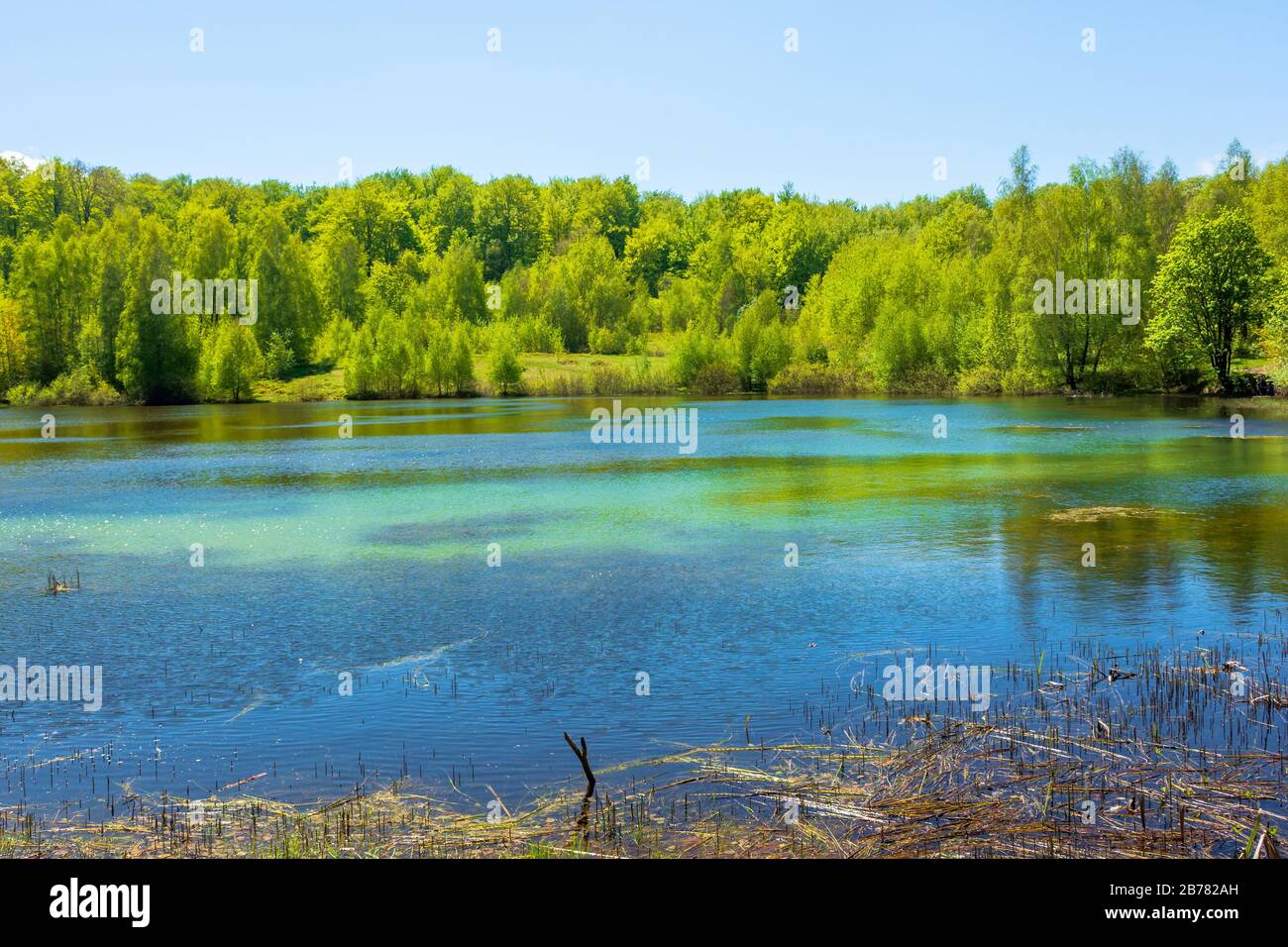landscape by the mountain lake among coniferous forest. wonderful ...