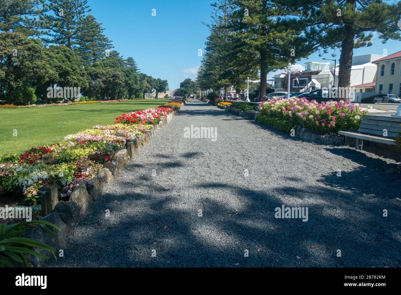 Napier is a coastal city on the North Island of New Zealand. It is ...