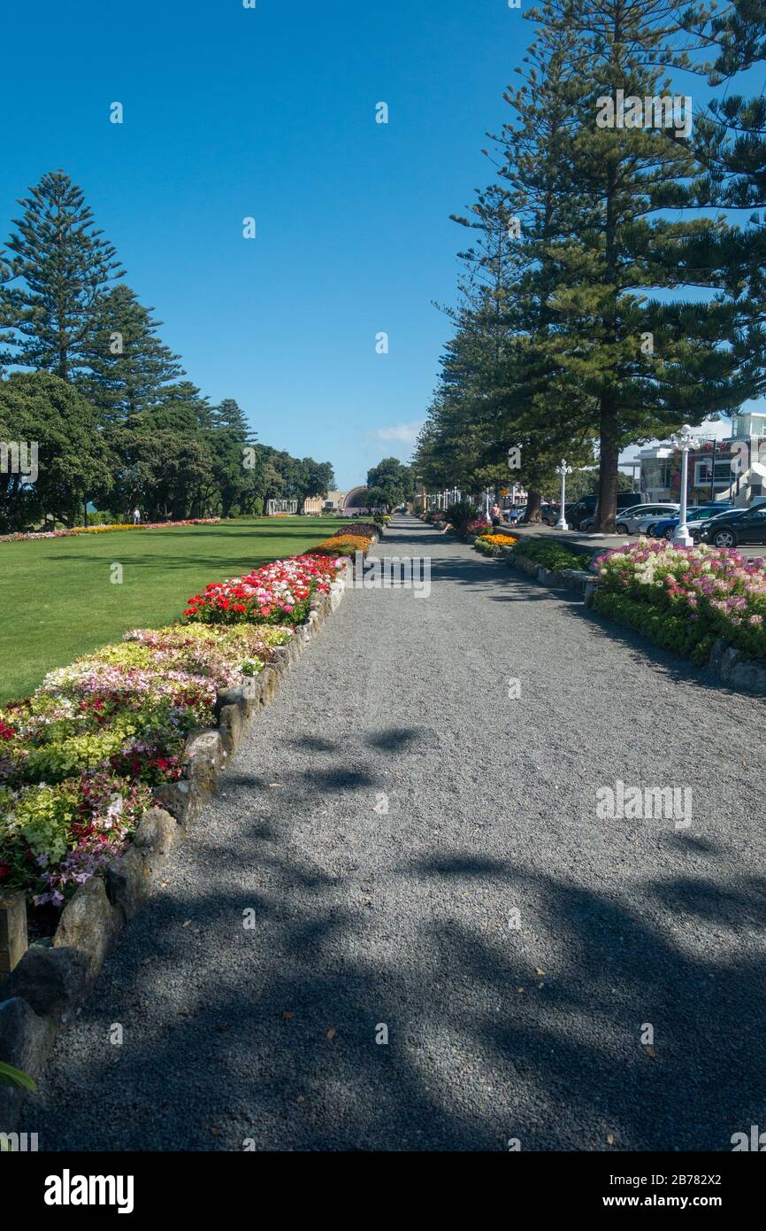 Napier is a coastal city on the North Island of New Zealand. It is ...