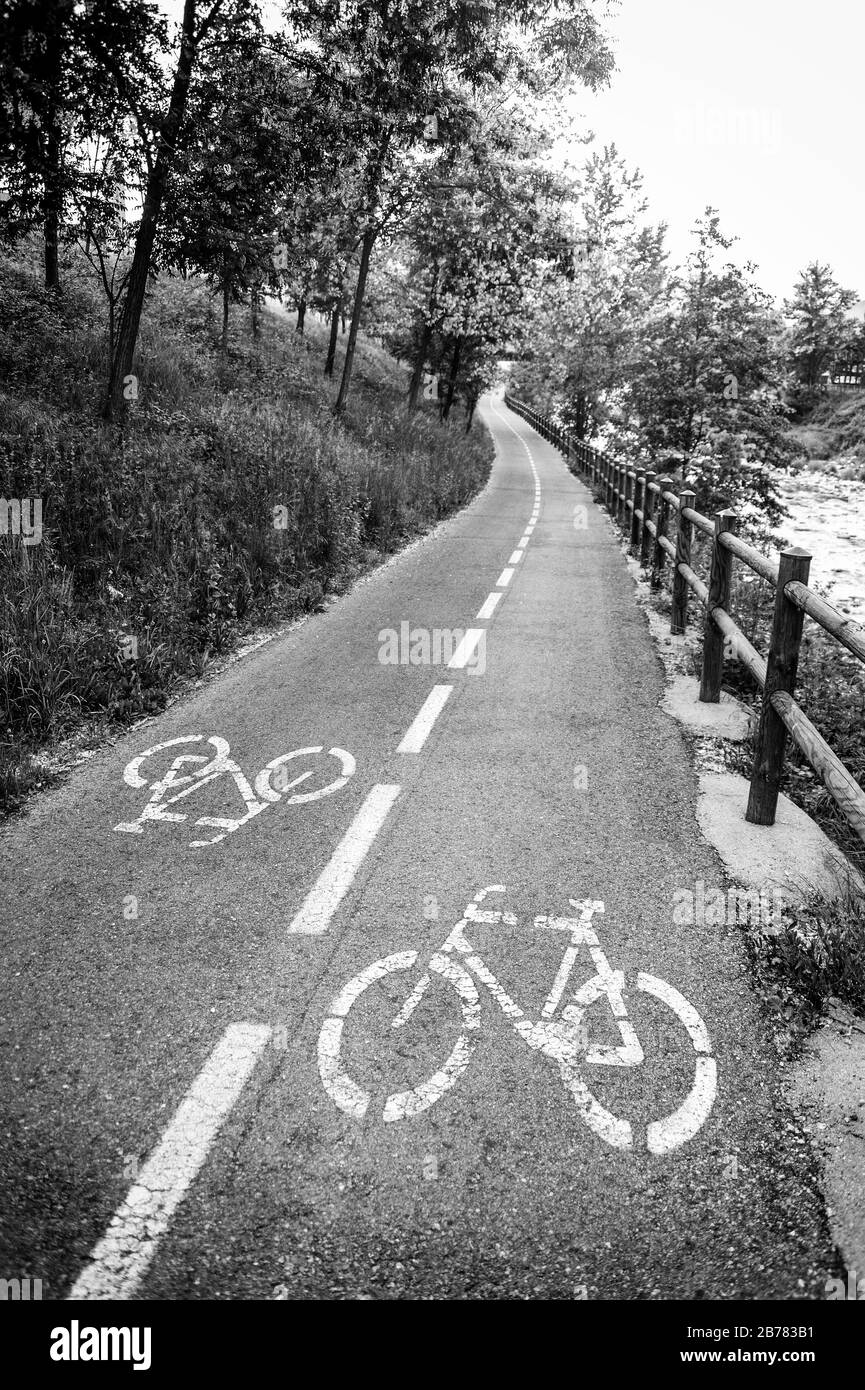 Forest path cyclist Black and White Stock Photos & Images - Alamy