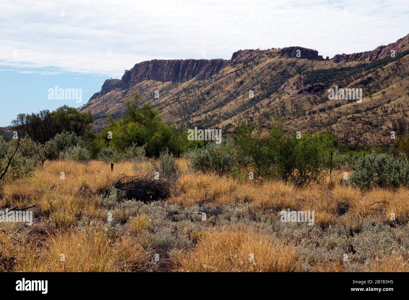Alice Springs Australia, view across dry grassland to the West ...