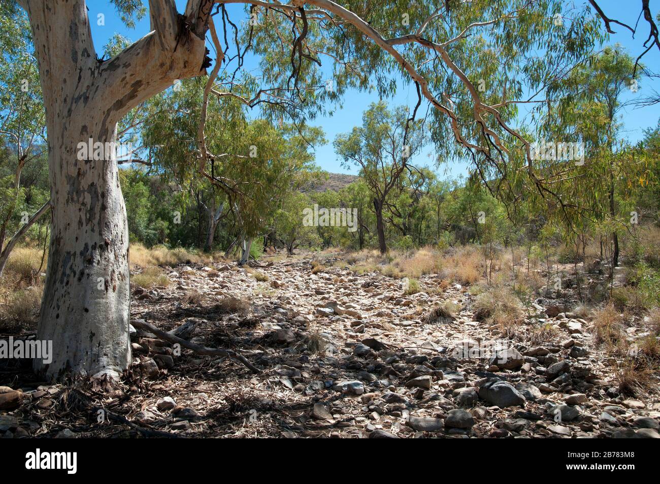 Serpentine gorge australia hi-res stock photography and images - Alamy