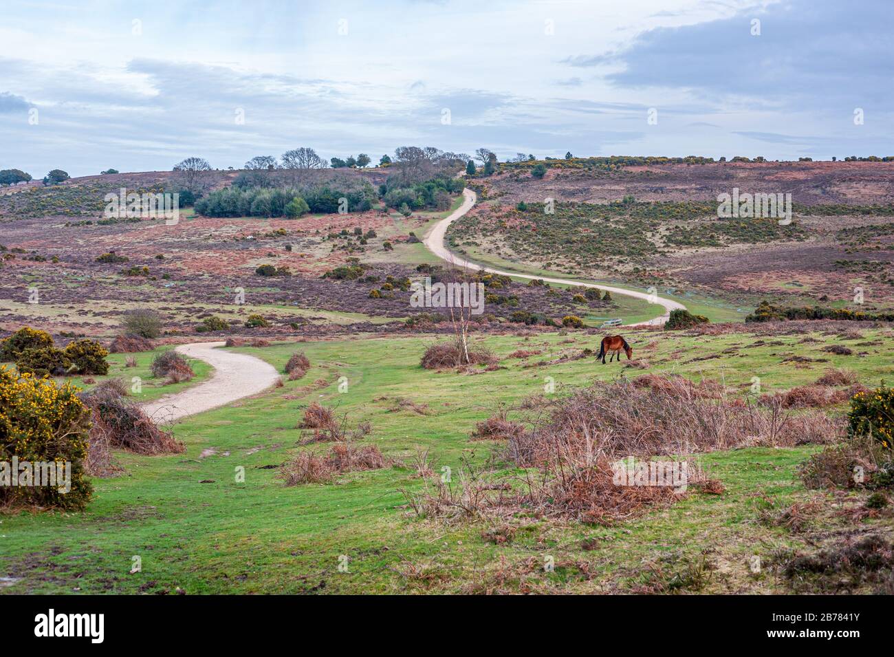 Open air landscape hi-res stock photography and images - Alamy