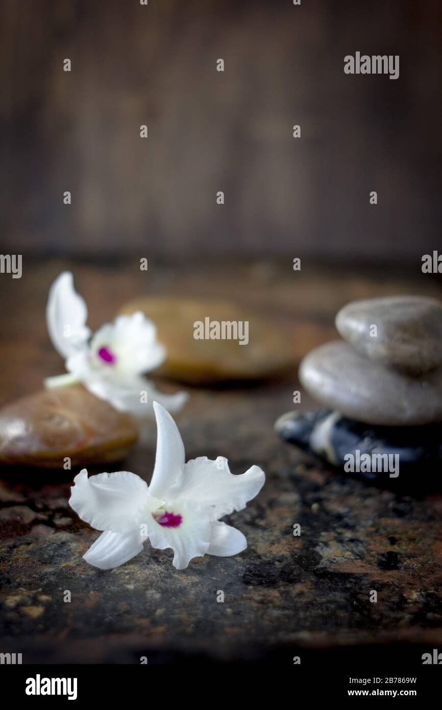 Spa stones and flowers on the dark background Stock Photo - Alamy