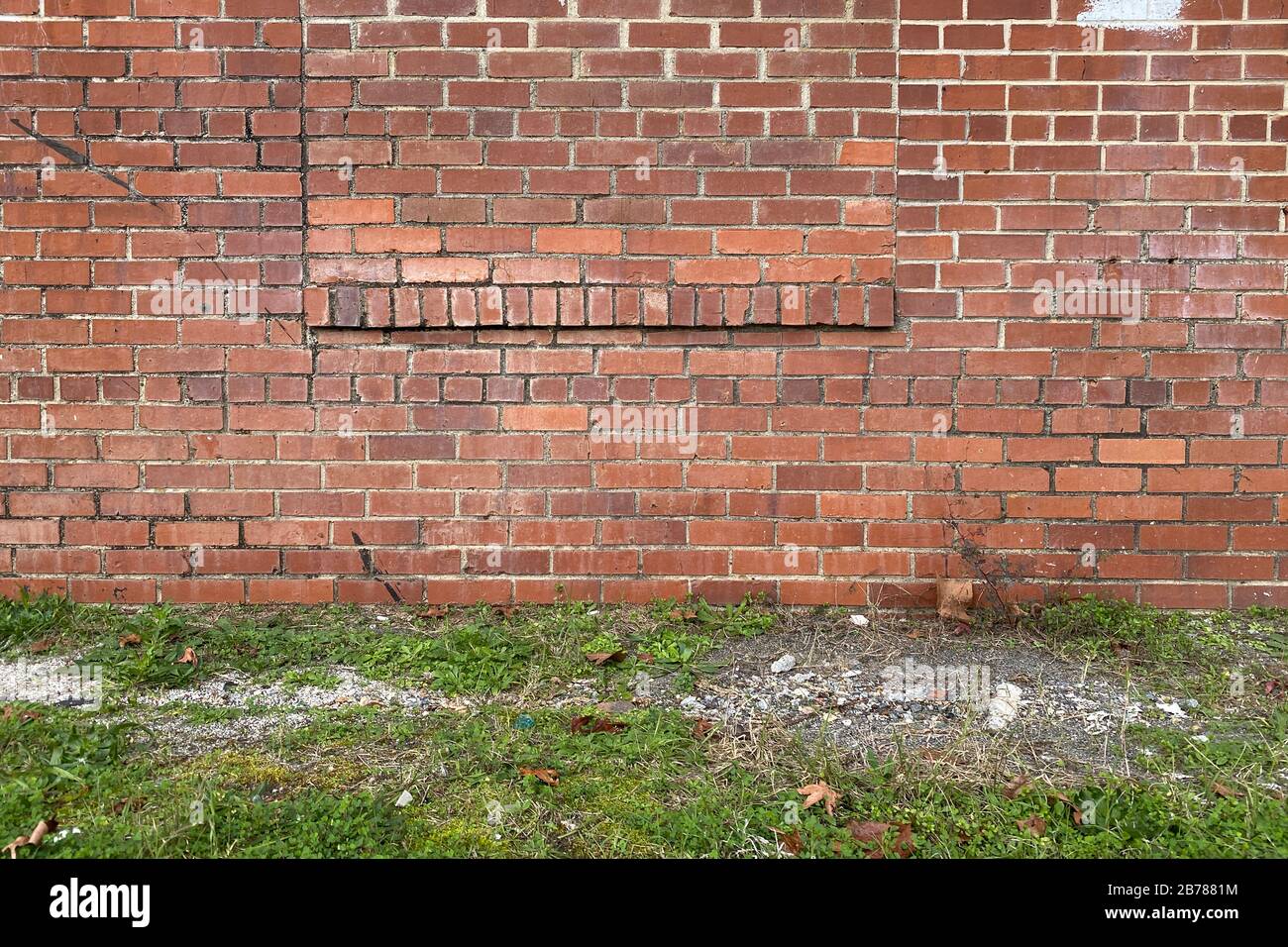 Tree covered brick path hi-res stock photography and images - Alamy