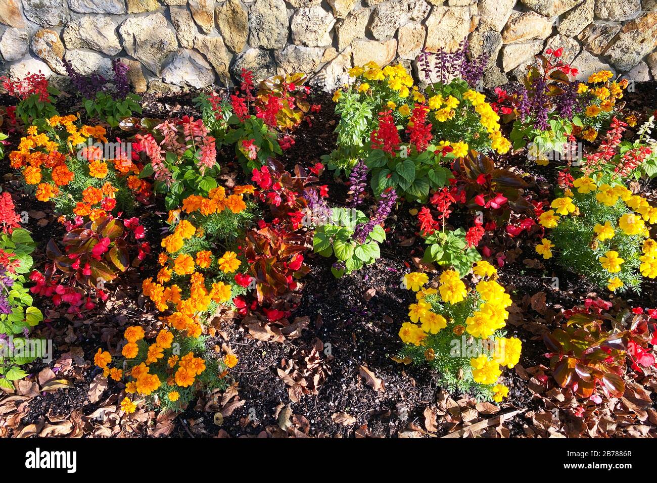 a patch of marigolds in a garden path next to a stone wall with fall ...