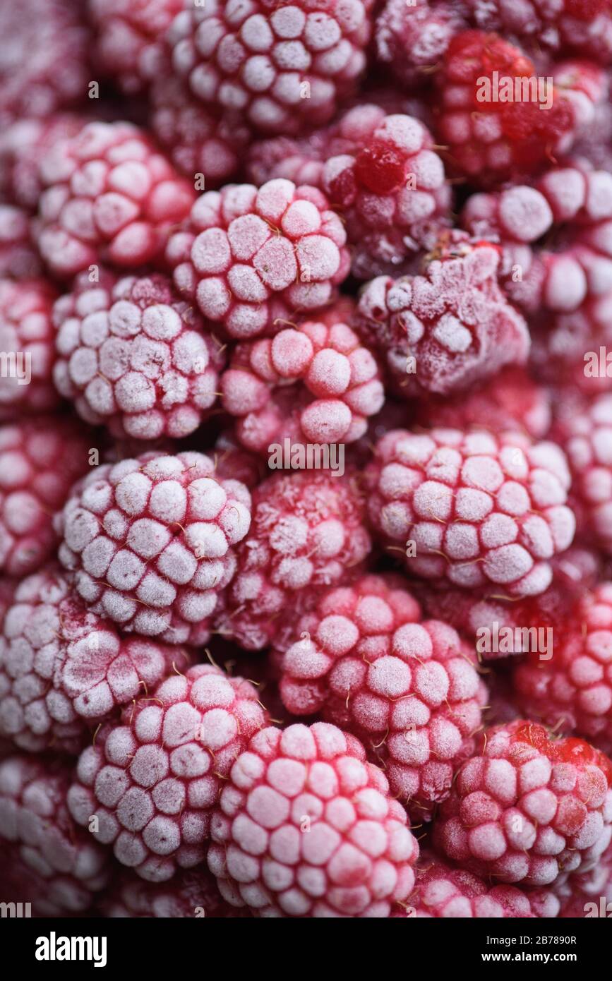Food background. Freshly frozen raspberries, turned into a juicy piece ...