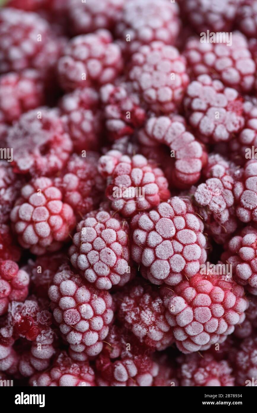 Food background. Freshly frozen raspberries, turned into a juicy piece ...