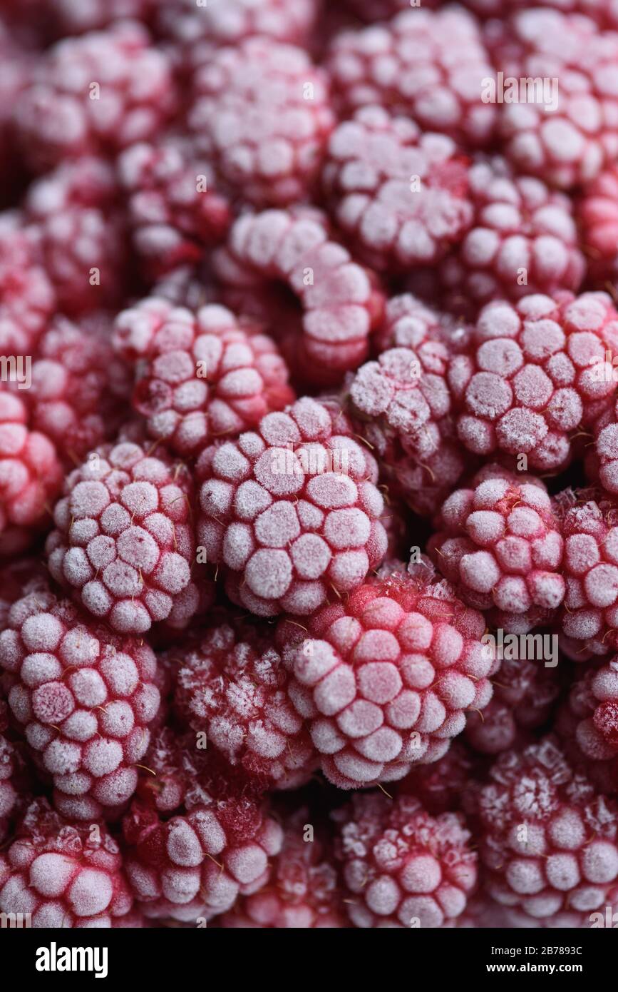 Food background. Freshly frozen raspberries, turned into a juicy piece ...