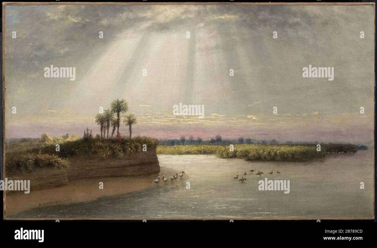 Harvey white hi-res stock photography and images - Alamy