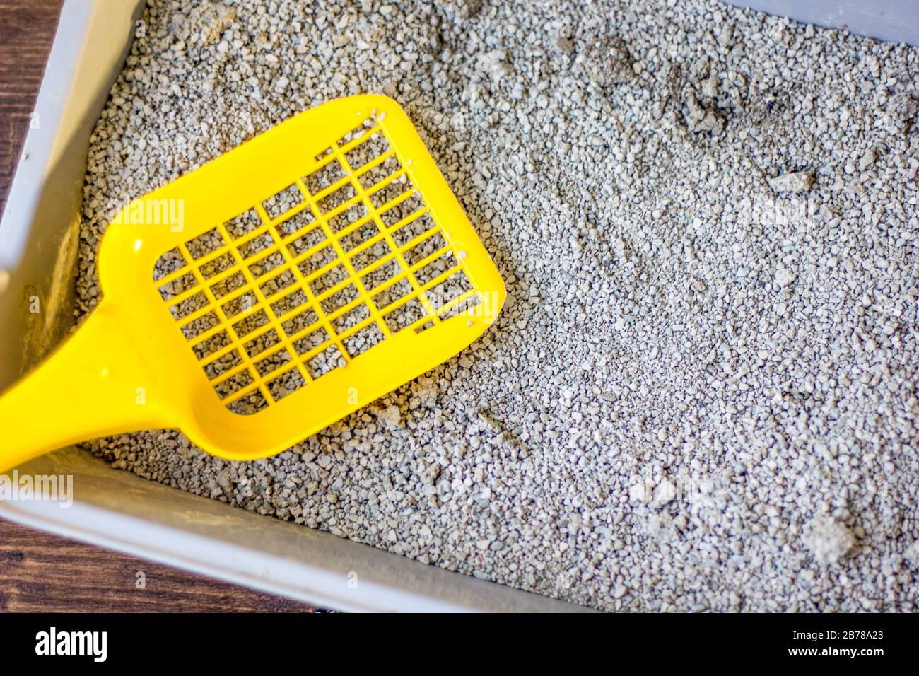 Yellow plastic scoop on the gray litter box, filled by blue litter sand ...