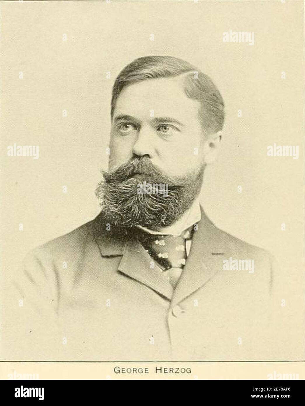 Philadelphians hi-res stock photography and images - Alamy