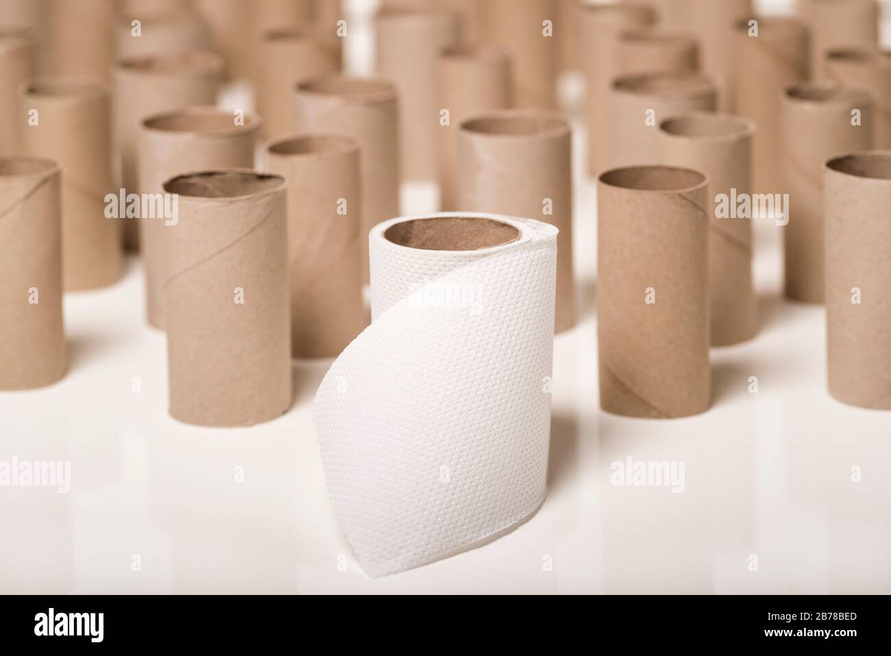 Toilet roll tube seedling hi-res stock photography and images - Alamy