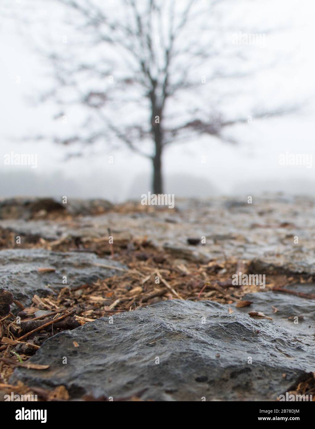 Shot low ground level hi-res stock photography and images - Alamy