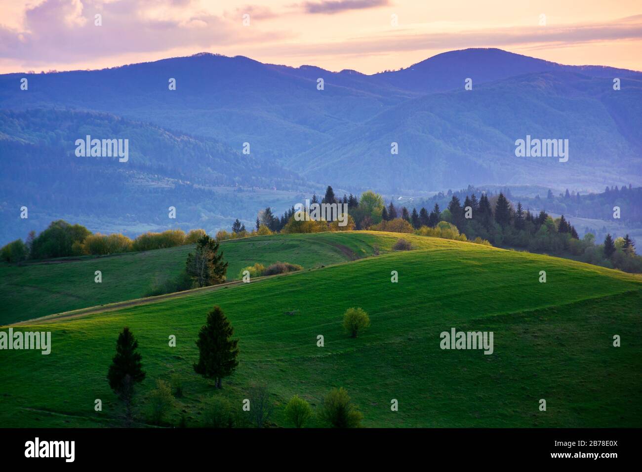 mountainous countryside in springtime at dusk. trees on the rolling ...