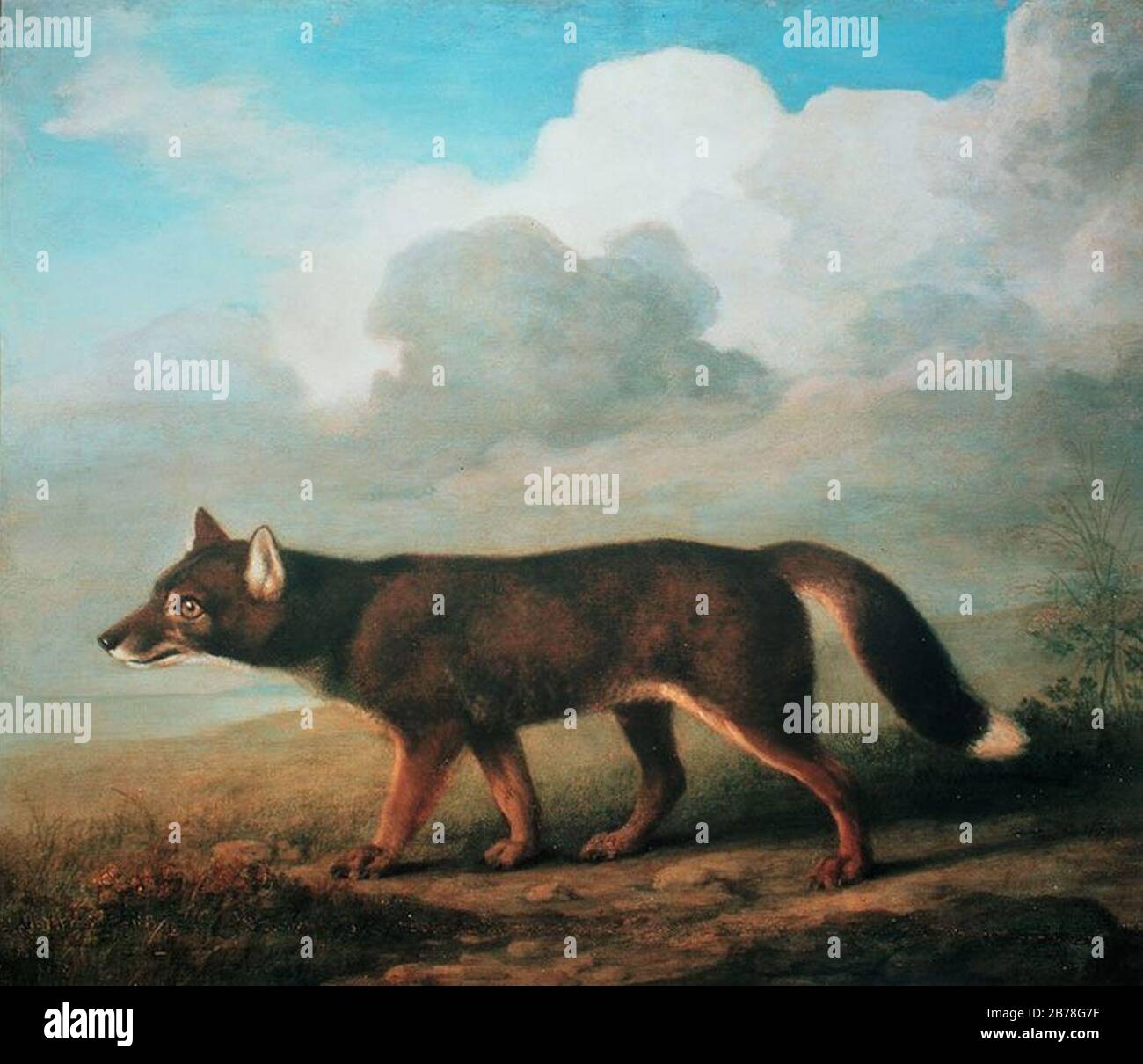 George Stubbs, A portrait of a large Dog from New Holland (Dingo), 1772 ...