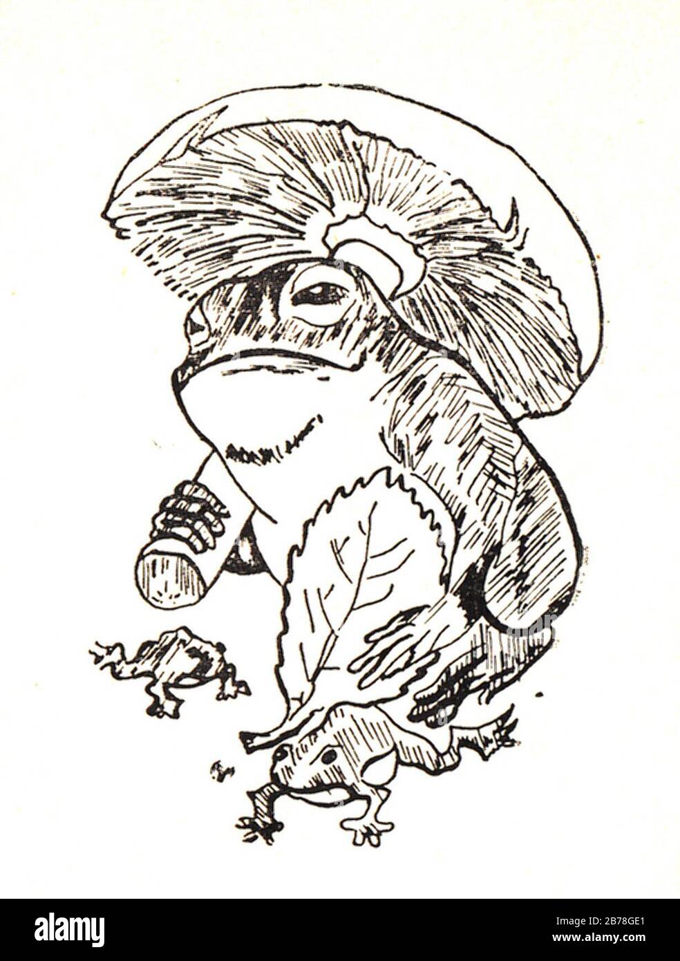 George Topîrceanu - Broaşte Stock Photo - Alamy