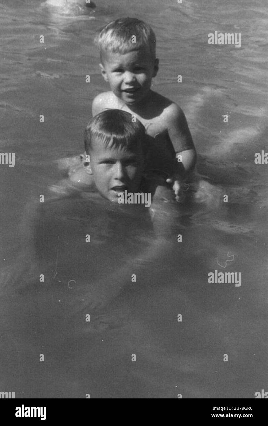 George W. Bush swimming with Jeb on his back June 1956 (2843 Stock ...