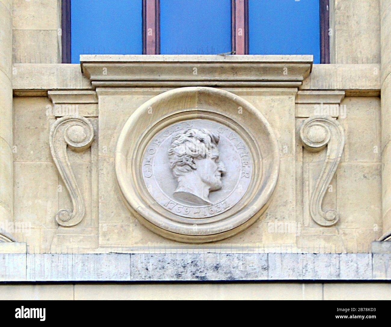 Georges Cuvier 4 médaillon galerie évolution Stock Photo - Alamy