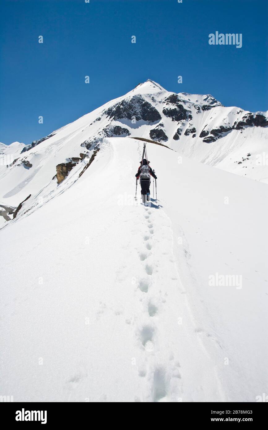 Skibergsteigen am Grossglockner, Salzburg, Österreich Stock Photo - Alamy