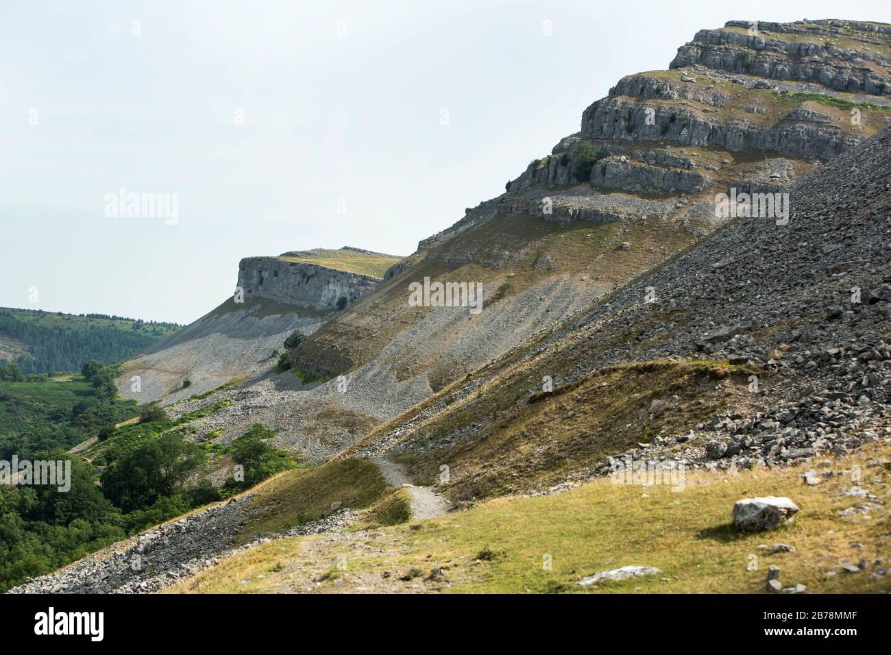 Trees growing by Offas Dyke Path below Creigiau Eglwyseg on Eglwyseg ...