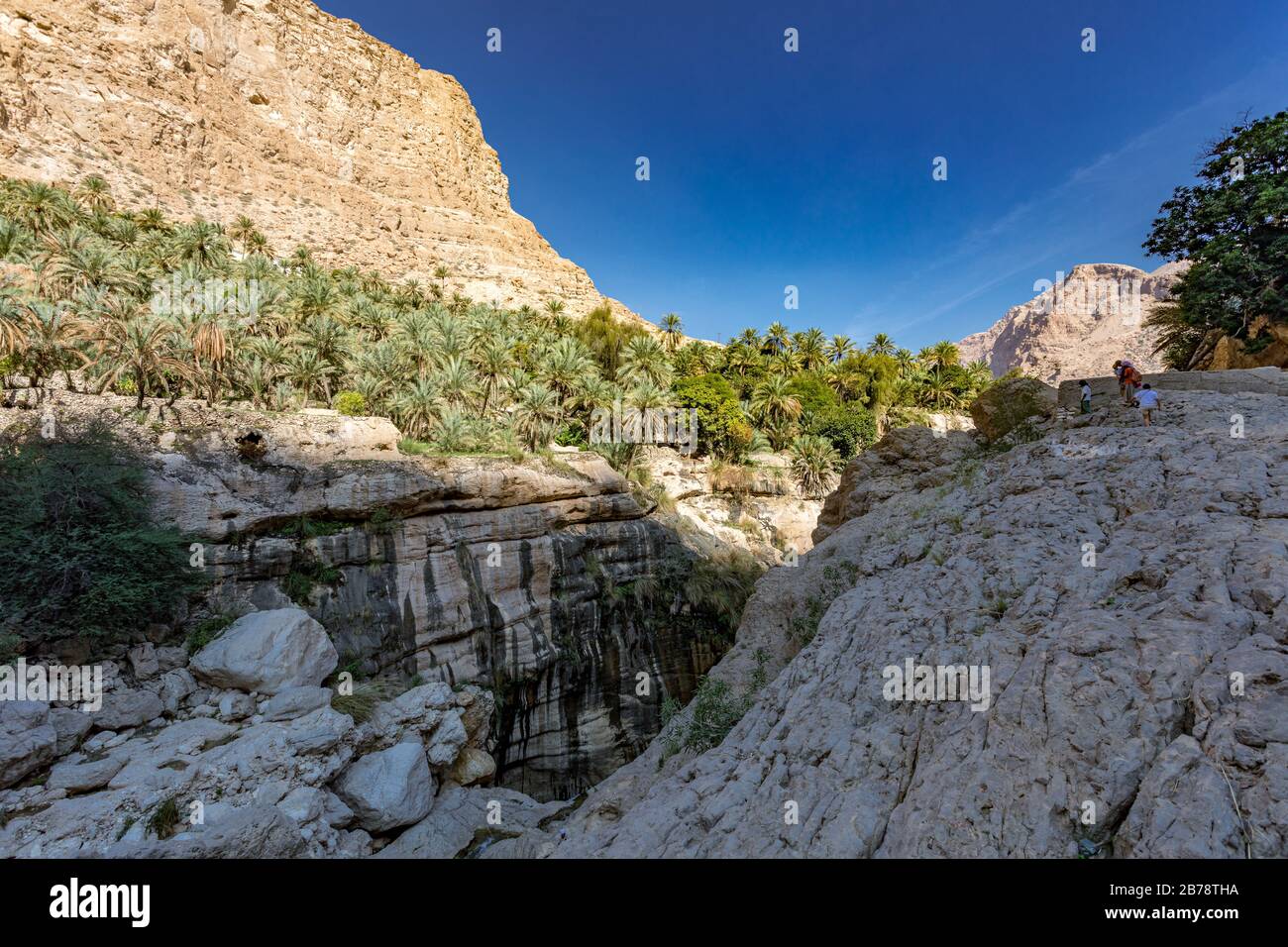 Riverbed surrounded by palm trees wadi bani khalid hi-res stock ...