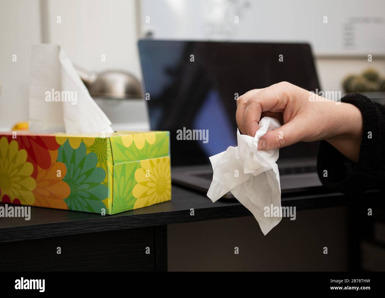 hand holding a disposable tissue, next to the tissue box in an office ...
