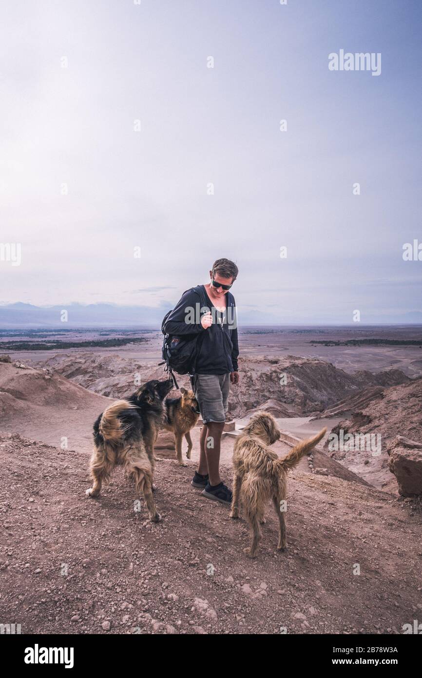Young man with three dogs Stock Photo - Alamy