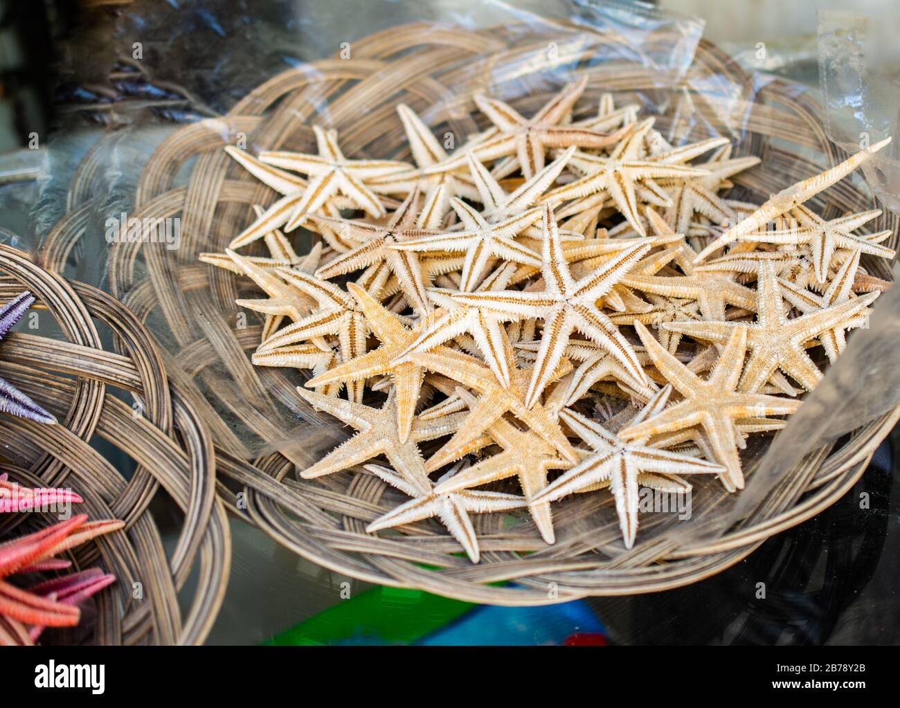 Marine natural materials hi-res stock photography and images - Alamy