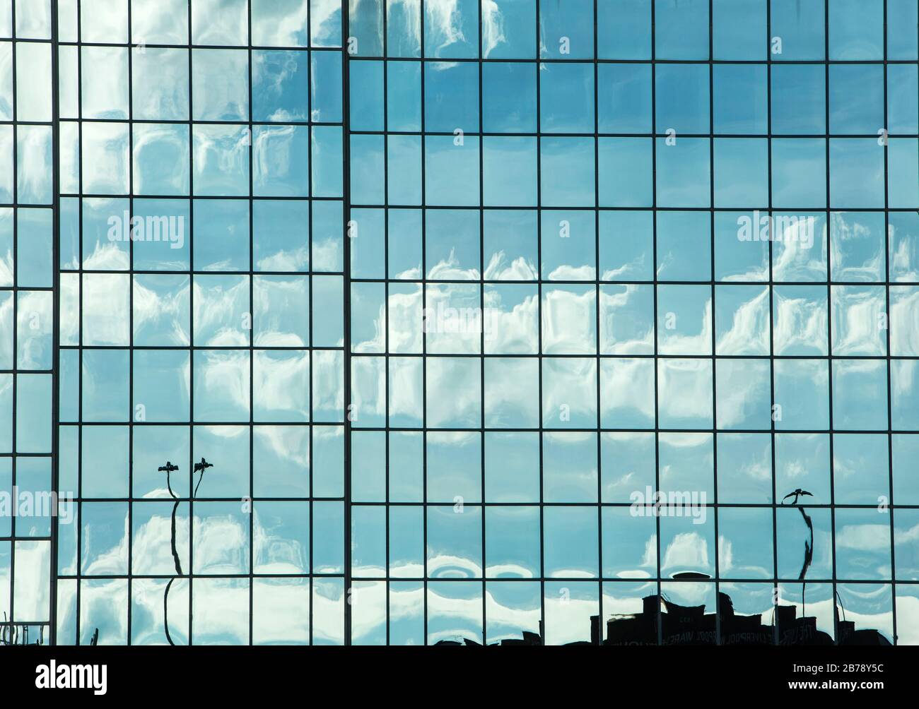 Reflections of clouds and sky and street lights in the oblong mirrored ...