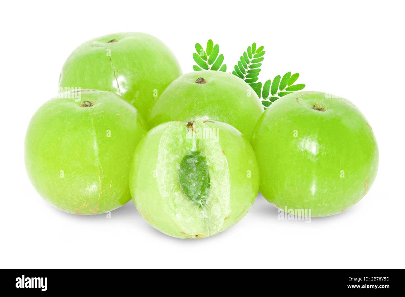 Amla green fruits ,Phyllanthus emblica isolated on white background ...