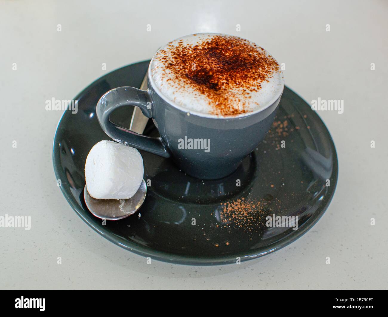 Frothy hot chocolate in a cup, and a marshmallow Stock Photo - Alamy
