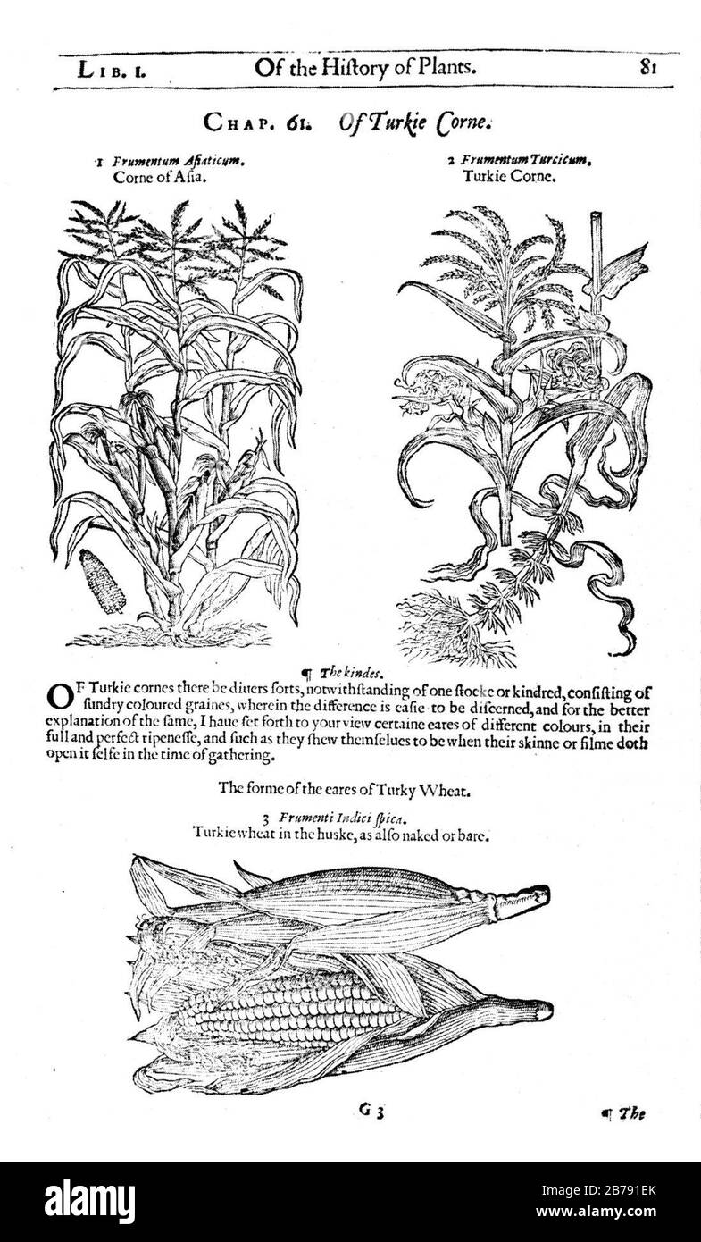 The herball Cut Out Stock Images & Pictures - Alamy