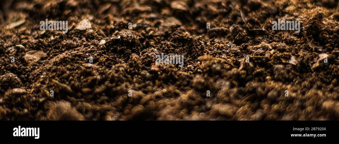 Earth ground texture as background, nature and environmental backdrop ...