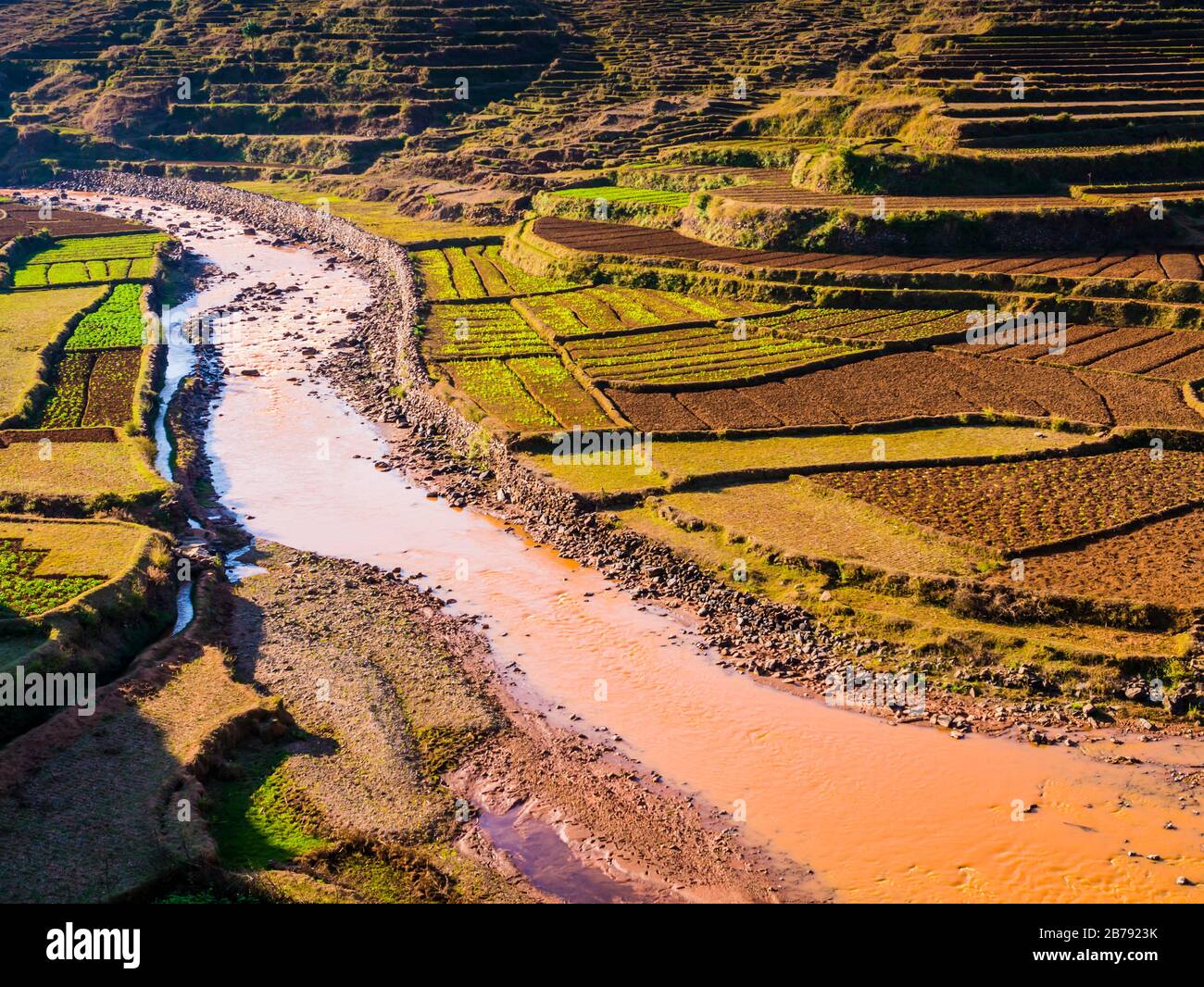 Madagascar rice terrace hi-res stock photography and images - Alamy